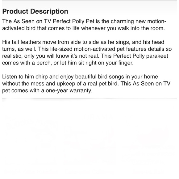 As Seen On TV | Other | Dumb Dumber Costume Petey Pretty Bird Nib Polly ...